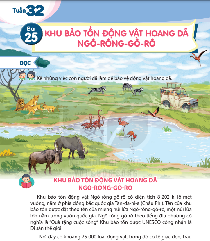 Sách Tiếng Việt 4 - Tập Hai | NXB Kết Nối Tri Thức Với Cuộc Sống | SGKVN
