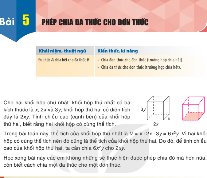Bài 5: Phép chia đa thức cho đơn thức | Toán 8 - Tập 1 | Chương I: Đa ...